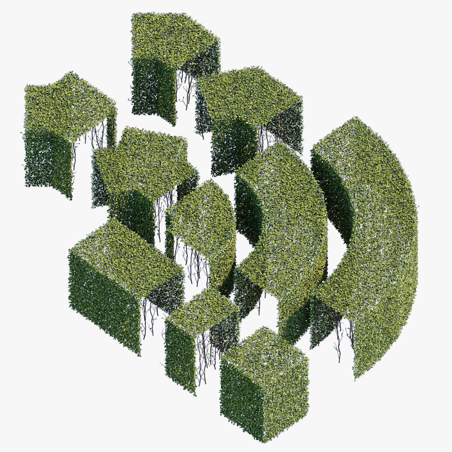 Hedge 600x800(h) 3D 3D Model - 3DHunt.co