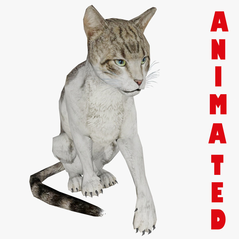 Cat Animated 3D Model - 3DHunt.co