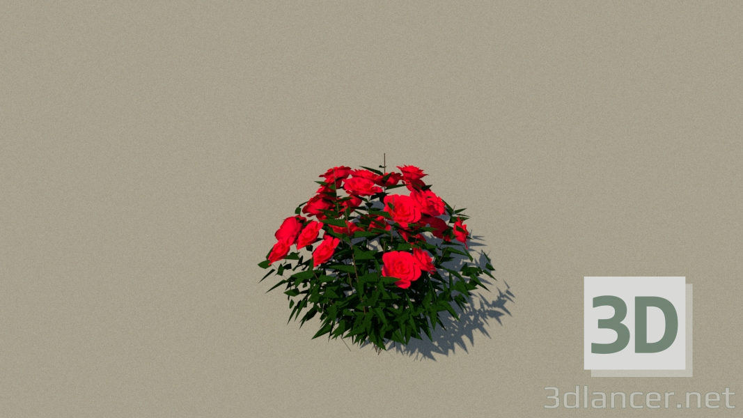 3D-Model roses - 3DHunt.co
