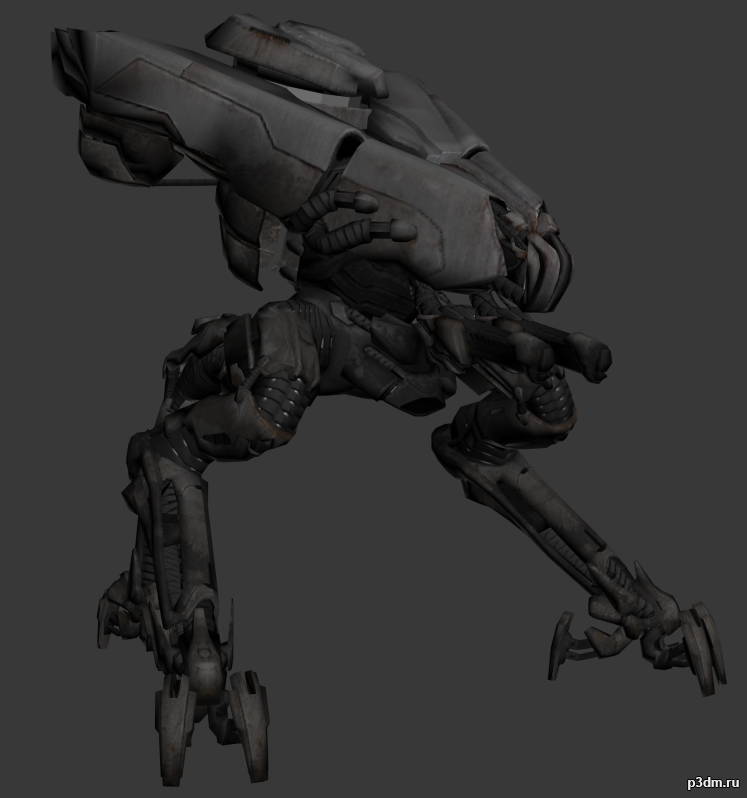 Ceph-Pinger 3D Model - 3DHunt.co