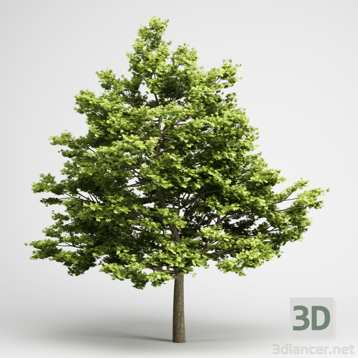 3D-Model Tree - 3DHunt.co