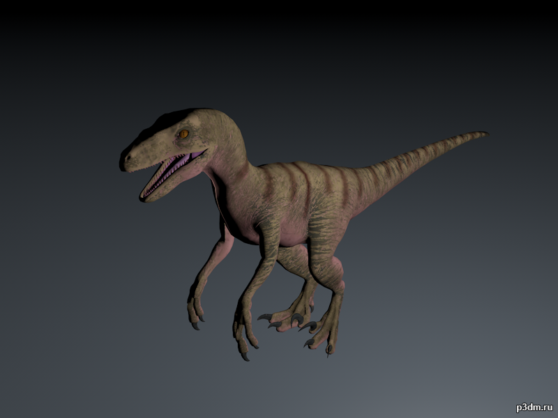 Eoraptor 3D Model - 3DHunt.co