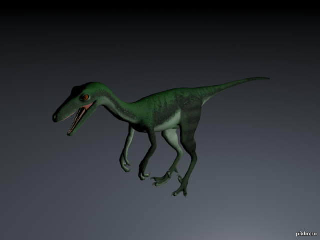 Pectinodon 3D Model_60e57367bb049.png - 3DHunt.co