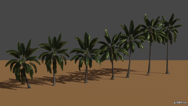 Star Wars: Battlefront 2015 Palm trees 3D Model_60f000b0c2369.png ...
