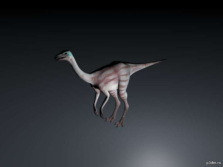 Timimus 3D Model_6103c948bf9a9.png - 3DHunt.co