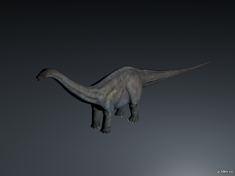 Brontosaurus 3D Model - 3DHunt.co